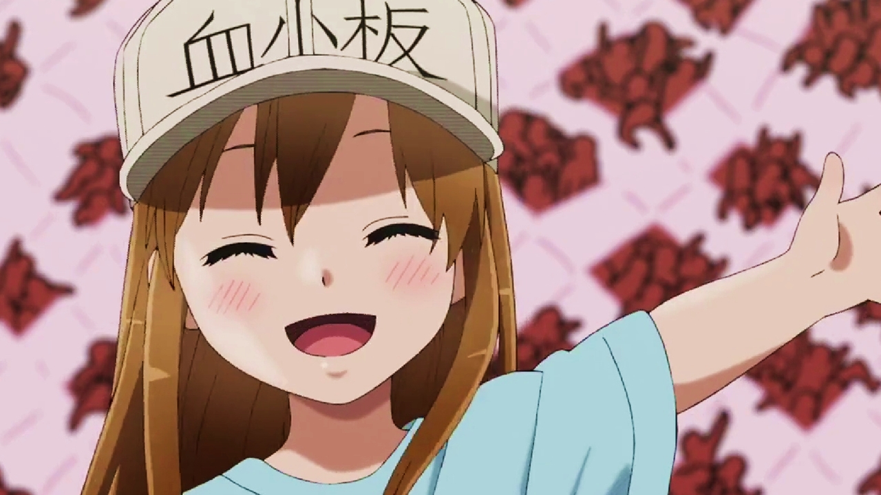 La segunda temporada de Hataraku Saibou tendrá 8 episodios | SomosKudasai