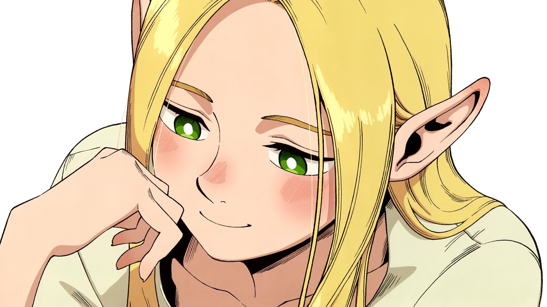 Fans se preguntan por qué Dungeon Meshi no es más popular | SomosKudasai