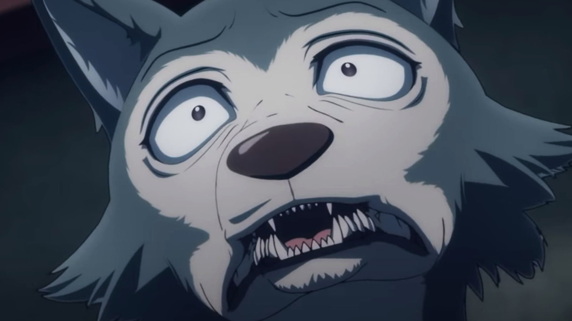 BEASTARS estará de regreso en diciembre | SomosKudasai