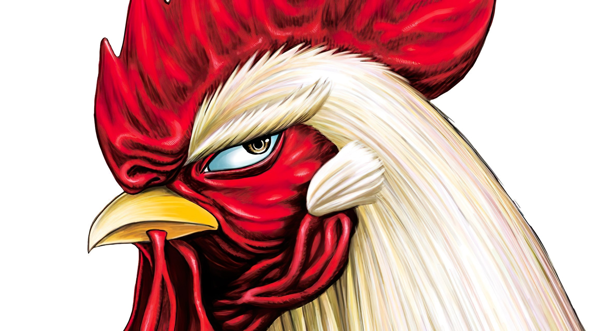 El popular Rooster Fighter tendría un anime | SomosKudasai