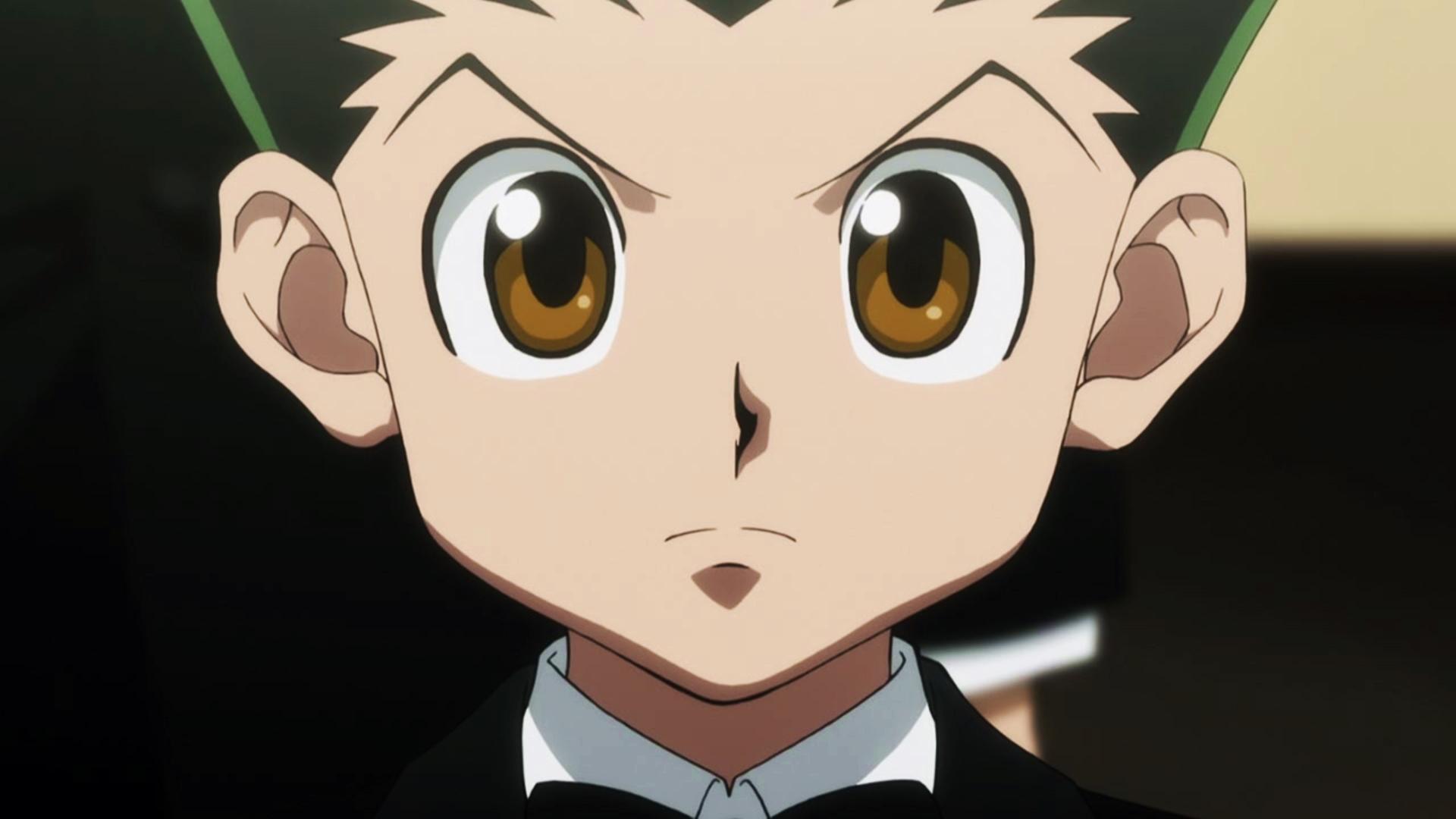 Crece la duda por el futuro de HUNTER x HUNTER | SomosKudasai
